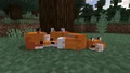 Fox – Minecraft Wiki
