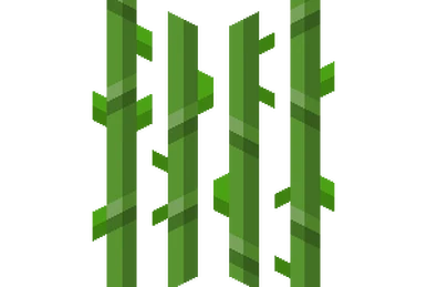 Minecraft Sugar Cane