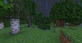 Weather – Minecraft Wiki