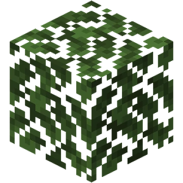 Minecraft Water Block Label