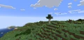 Meadow – Minecraft Wiki