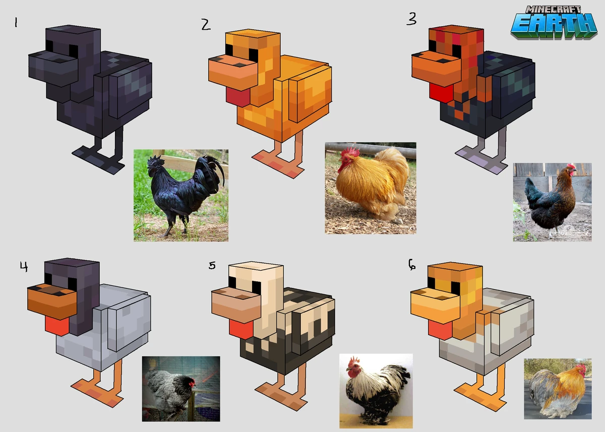 Minecraft Earth:Gold Crested Chicken – Minecraft Wiki