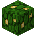 Leaves – Minecraft Wiki