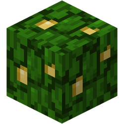 Minecraft Leaf Texture