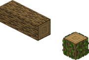Oak – Minecraft Wiki