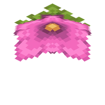 Rosa Sau Minecraft