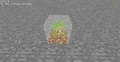 Java Edition Classic 0.0.12a/Development – Minecraft Wiki