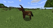 Sella - Minecraft Wiki