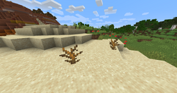 Teh Deadbush Quest 12 Bug Fixes Minecraft Map