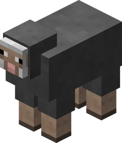 Minecraft Gray Sheep
