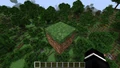 Grass Block – Minecraft Wiki