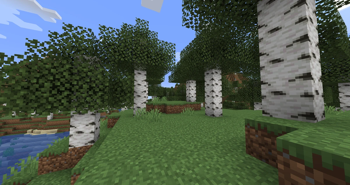 Forêt de bouleaux – Le Minecraft Wiki