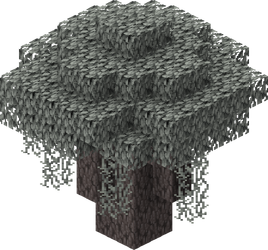 Pale oak – Minecraft Wiki