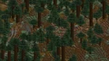 Podzol – Minecraft Wiki
