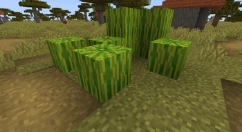 Pile – Minecraft Wiki