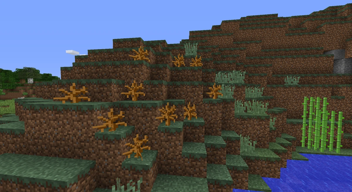 Shrub – Minecraft Wiki