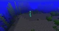 Drowned – Official Minecraft Wiki