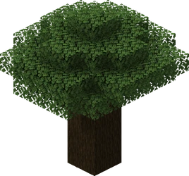 Dark oak – Minecraft Wiki