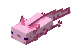 Images Of Minecraft Axolotl Minecraft Golden Axolotl Gold Axolotl
