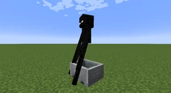 Fileendermanpng Official Minecraft Wiki