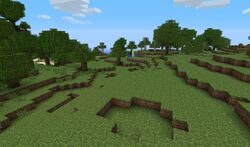 Shrubland – Minecraft Wiki