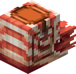 Nautilus – Minecraft Wiki