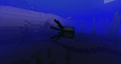 Aghaidh Squid Minecraft
