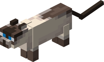 Gato - Minecraft Wiki