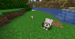 Ocelot Ansikt Minecraft