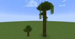 Jungle Trees Minecraft
