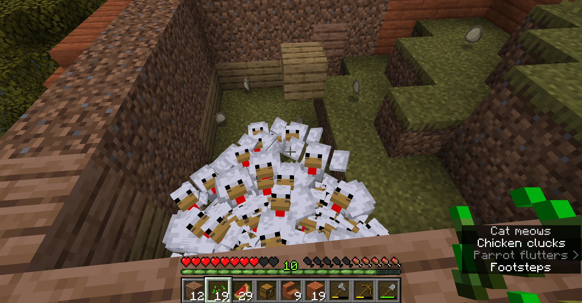 Pet Chicken Minecraft
