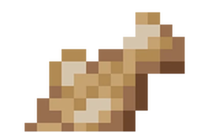 Raw Chicken Minecraft