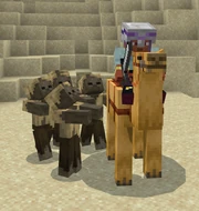 Camel – Minecraft Wiki
