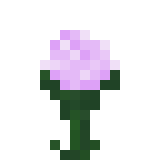 Category:Unused Texture Update block textures – Minecraft Wiki