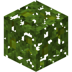 Minecraft Leaf Block Texture