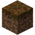 Podzol – Minecraft Wiki