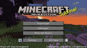 Java Edition 23w17a - Minecraft Wiki