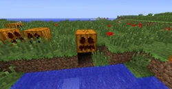 Pompoen Minecraft