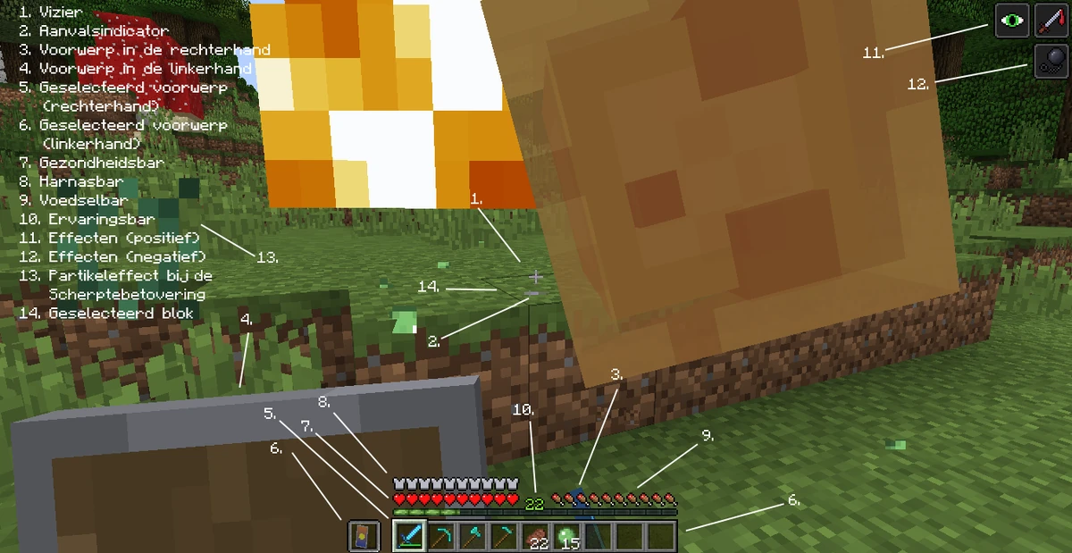 Heads-up display - Minecraft Wiki