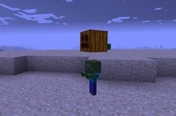 Pompoen Minecraft