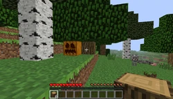 Pompoen Minecraft