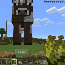 Rauwe Varkenskotelet Minecraft