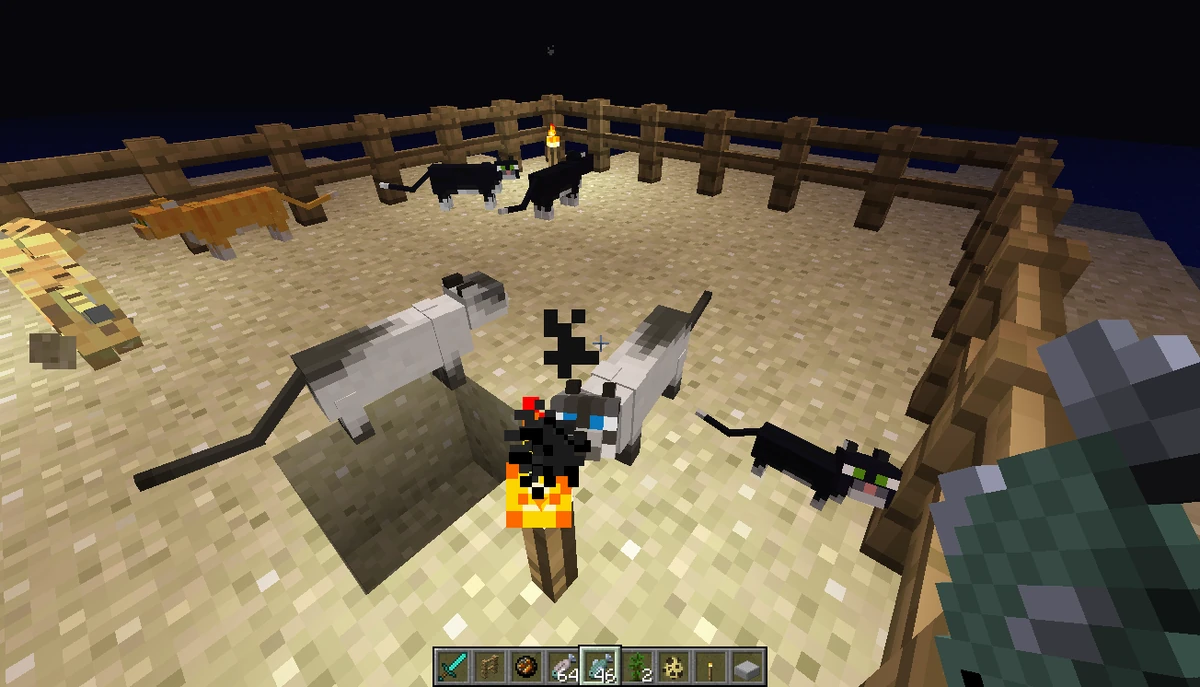 Kat - Minecraft Wiki