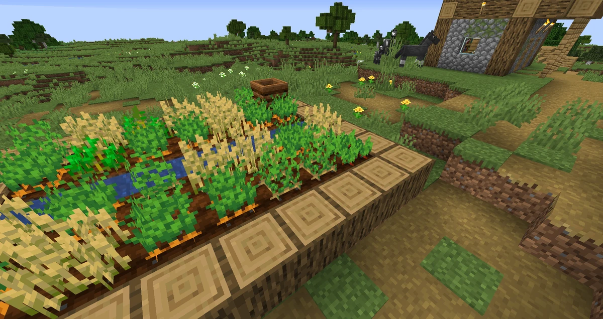 Marchewka – Minecraft Wiki Polska
