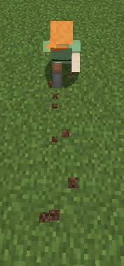 Sprint – Minecraft Wiki Polska