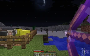 Durability Show — Minecraft Wiki