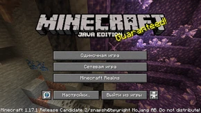 1.17.1 Release Candidate 2 (Java Edition) — Minecraft Wiki