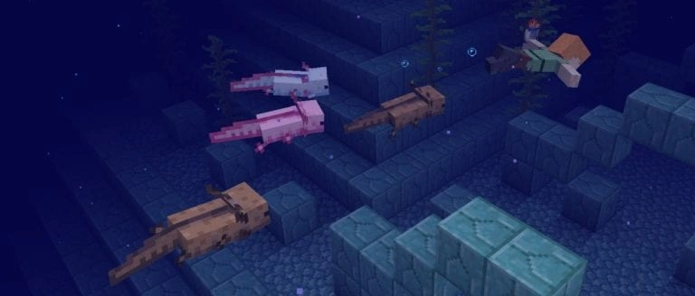 Caves & Cliffs — Minecraft Wiki