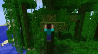 Smart Moving — Minecraft Wiki