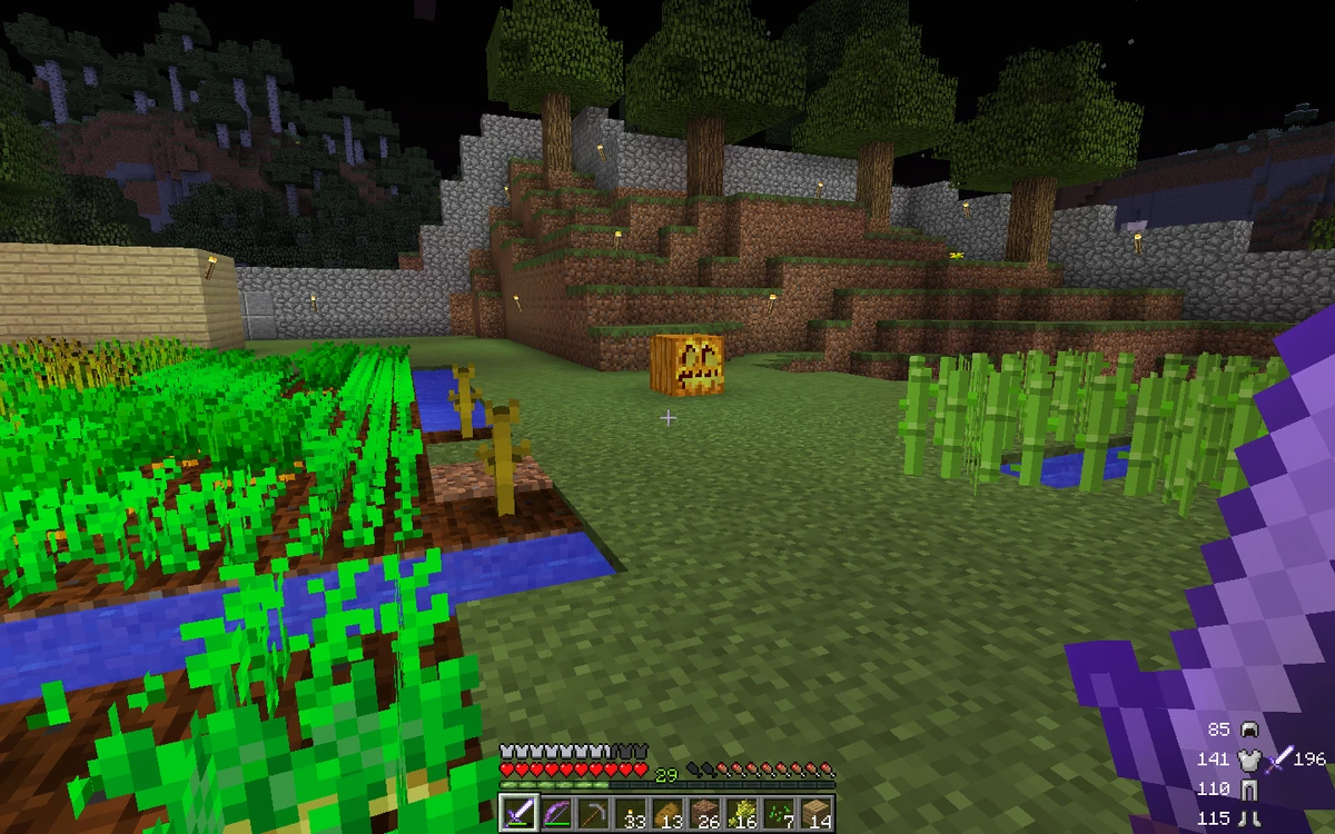 Durability Show — Minecraft Wiki